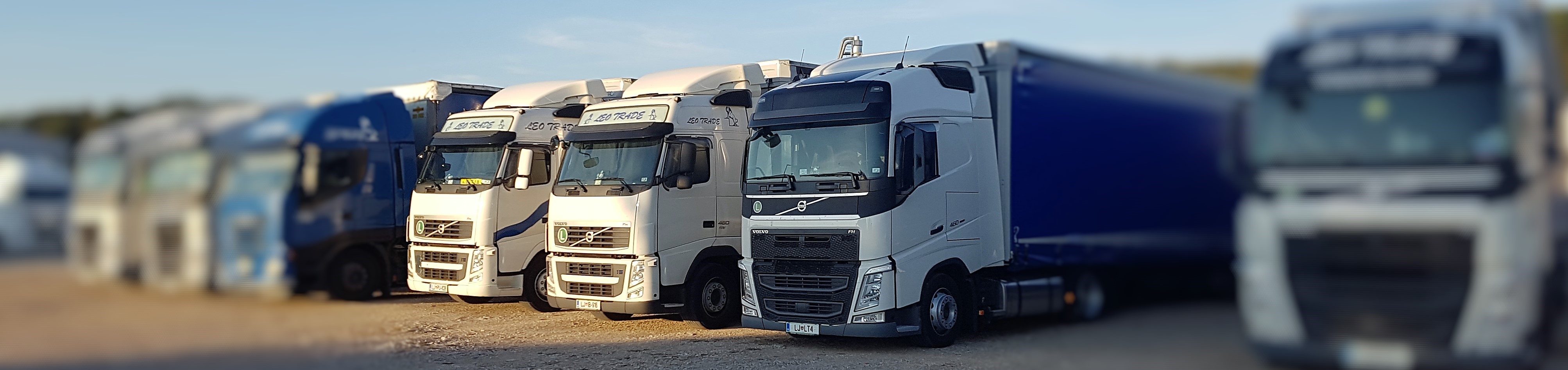 leo-logo – LeoTrade Transport, Slovenija